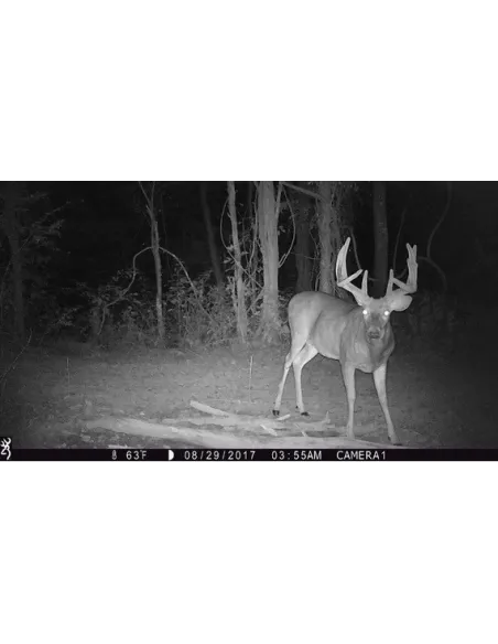 Piège photographique et vidéo Browning Strike Force DCL Nano 4K - 26 MP