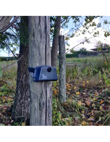 Enregistreur à ultrasons Batlogger S2 Elekon